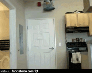 Bello scherzo ...… scherzo pubblicato da rotore - Facciabuco.com